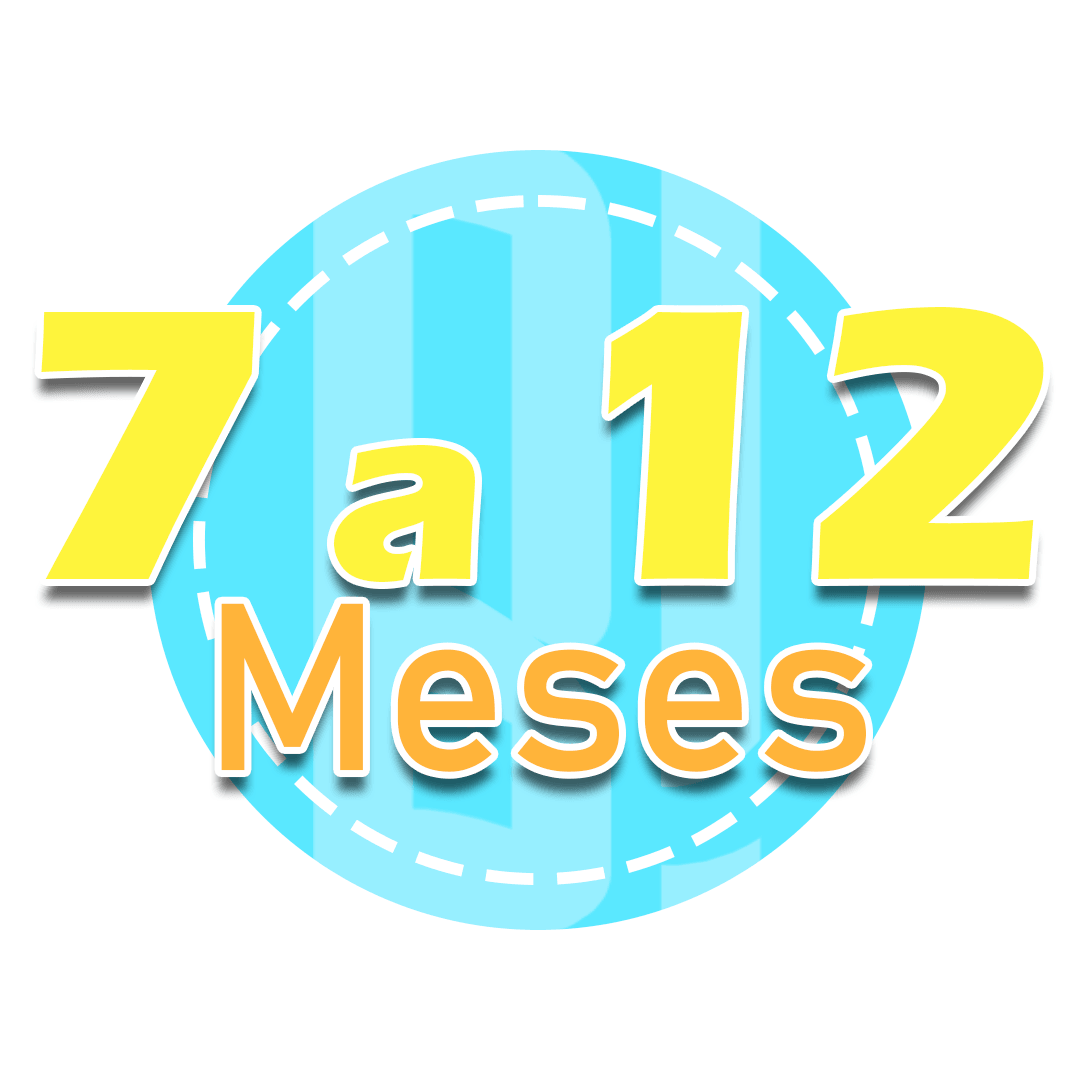 7 - 12 Meses